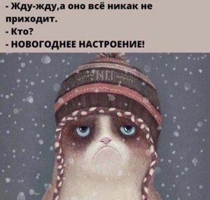 Свежая подборка мемов про Новый год – Mixnews